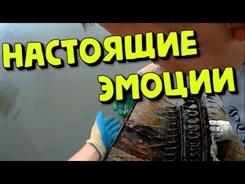 Новые поисковые грабли ! Зацепили ЗОЛОТО! - YouTube