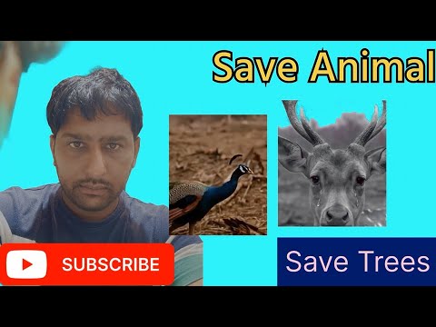 Save animal save trees - YouTube