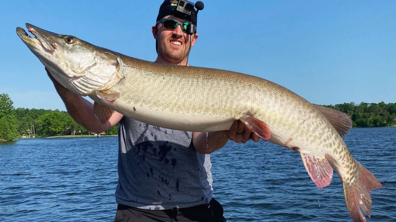 2022 Minnesota Musky Highlights - YouTube