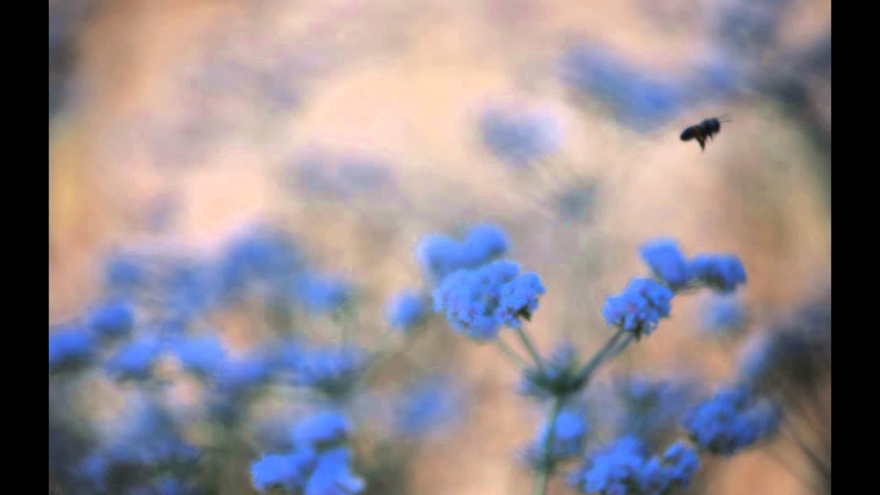 Experimental Photography Exercise - YouTube