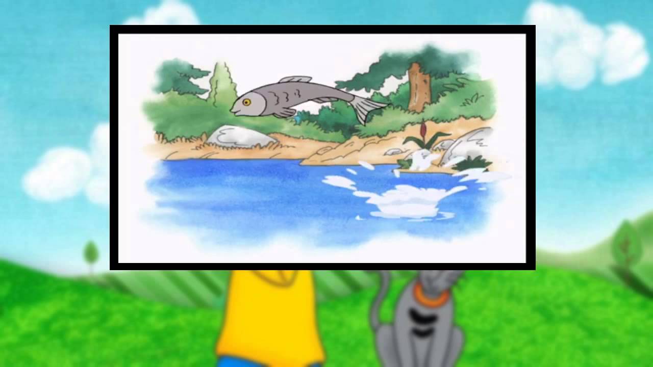 Caillou English Full Episodes 49 - YouTube