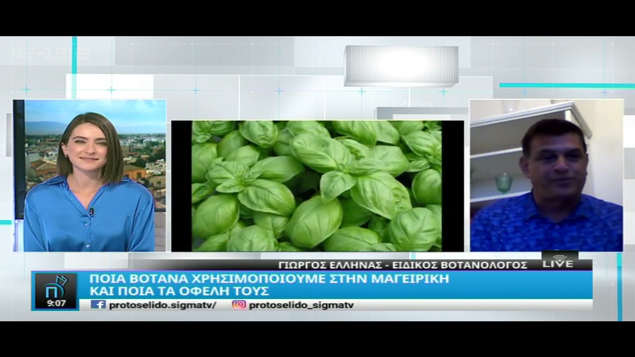 ΠΟΙΑ BOTANA ΧΡΗΣΙΜΟΠΟΙΟΥΜΕ ΣΤΗΝ ΜΑΓΕΙΡΙΚΗ ΚΑΙ ΠΟΙΑ ΤΑ ΟΦΕΛΗ ΤΟΥΣ - YouTube