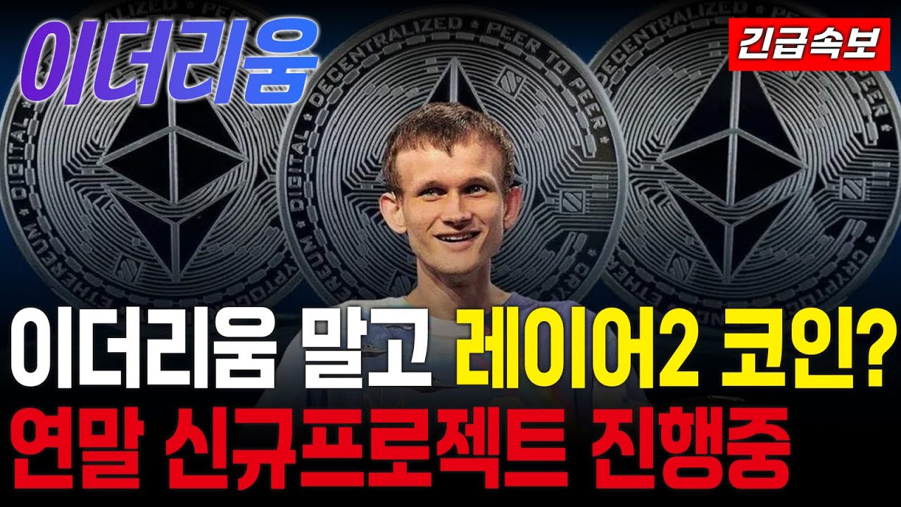 이더리움 전망 이더리움 말고 레이어2코인 연말 레이어2코인 신규 프로젝트 진행중 이더리움 이더리움etf 밈코인 비트