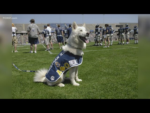 New Uconn Mascot 2022