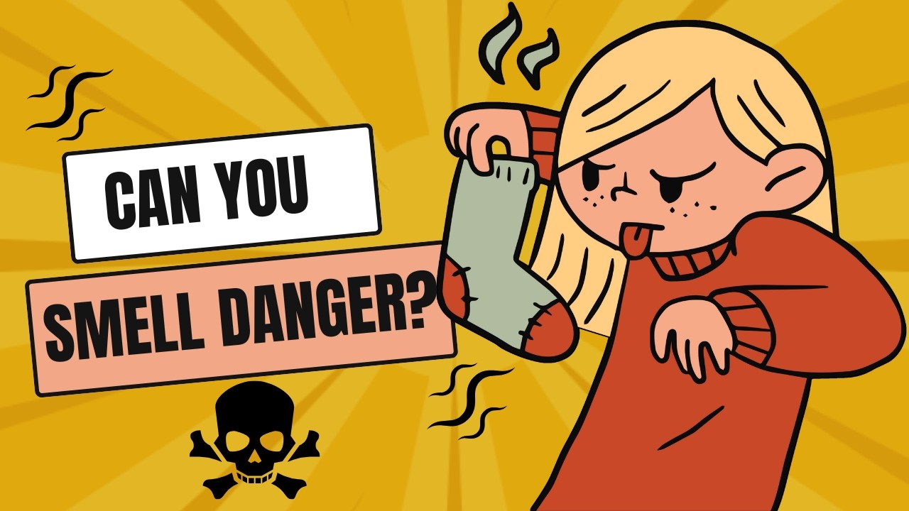 The Science of Smell: How Our Nose Detects Danger?👃 - YouTube