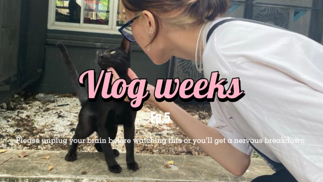Vlog weeks (CDMI) / ep.5 - YouTube