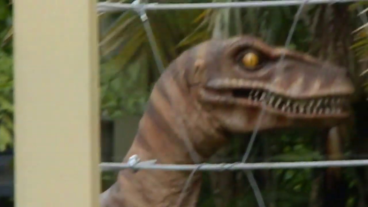 Stock Footage Jurassic Park Angry Caged Raptor - YouTube