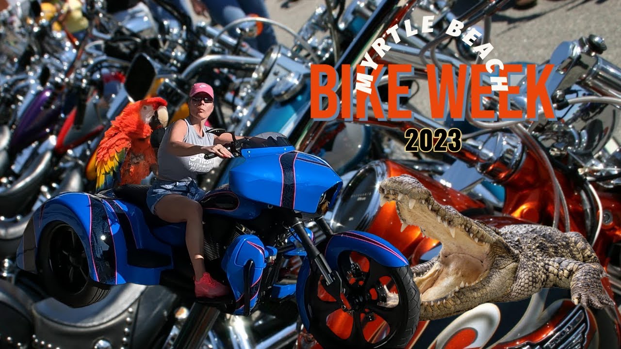 A Crazy Bird is Better Than a Cross-Eyed Gator: Myrtle Beach Bike Rally ...