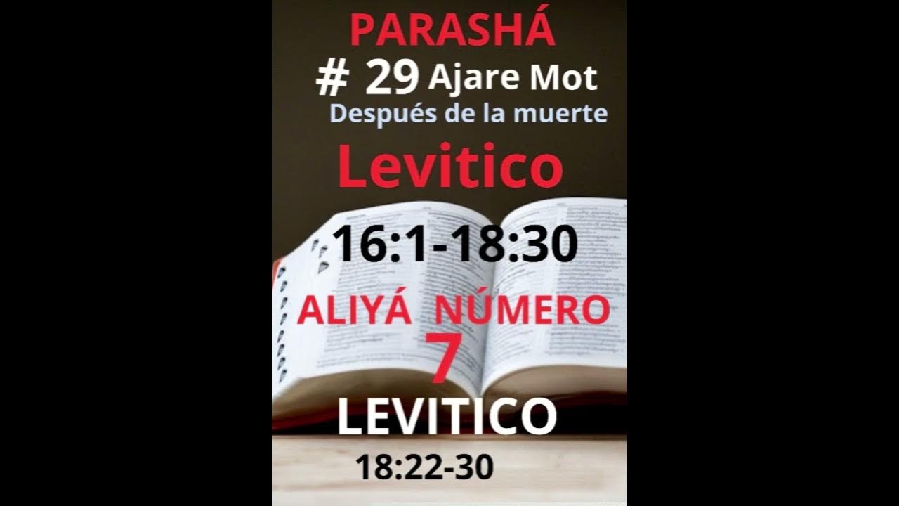 Aliyá 7-29 - YouTube