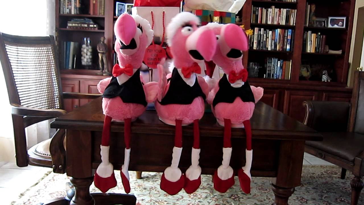 Singing Christmas Flamingos.MOV - YouTube