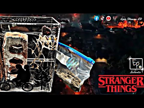Stranger Things Display Hawkins School Brick with Slime and Vine - YouTube
