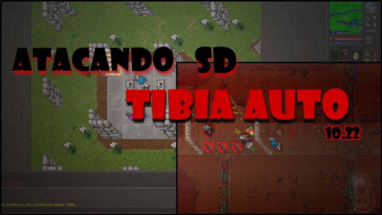 TibiaAuto - Atacando SD - YouTube