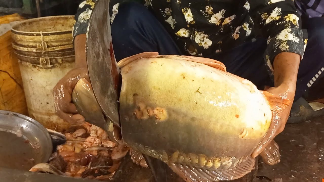 OMG! Giant karfu Fish Cutting in BD Fish Market | Fish Cutting Skill ...