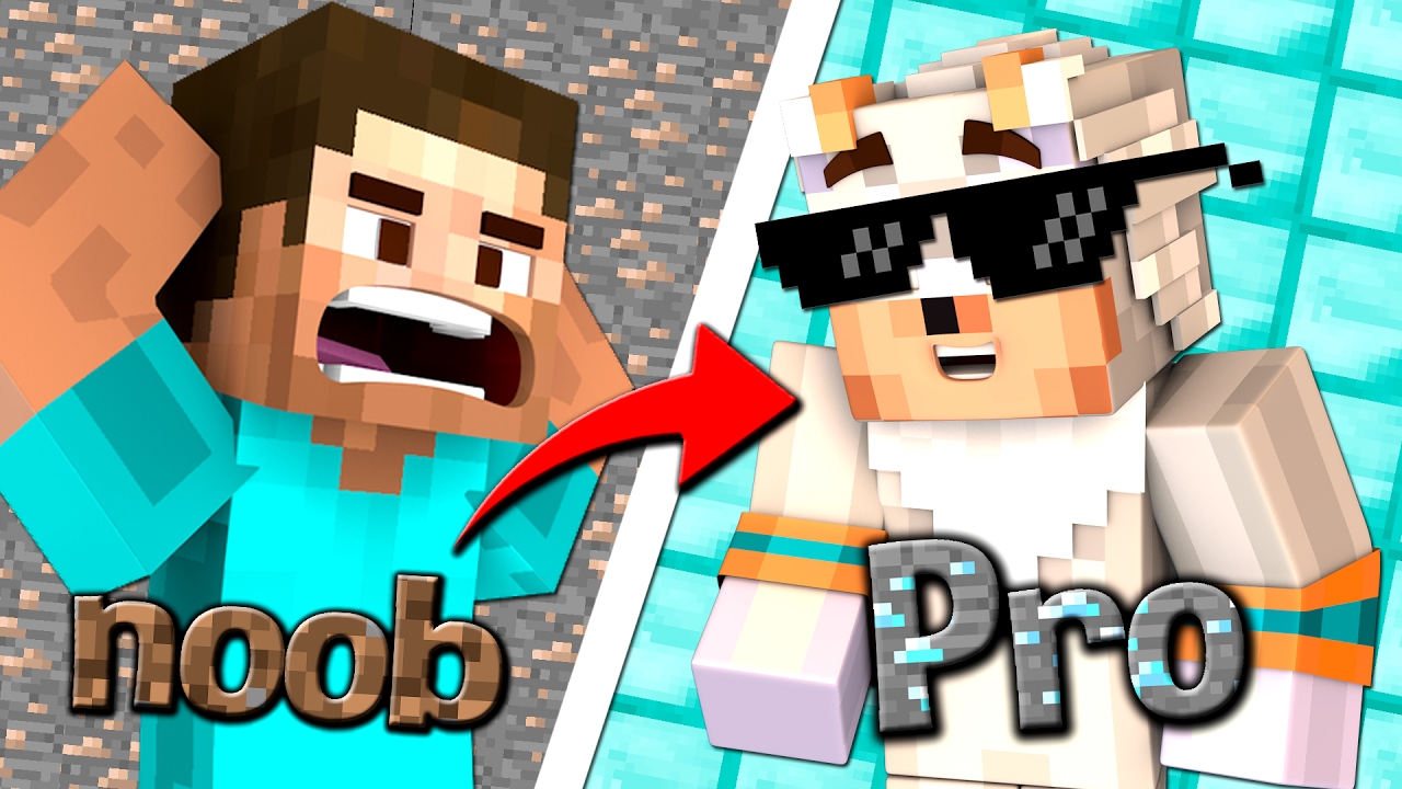 NOOB VS PRO - YouTube
