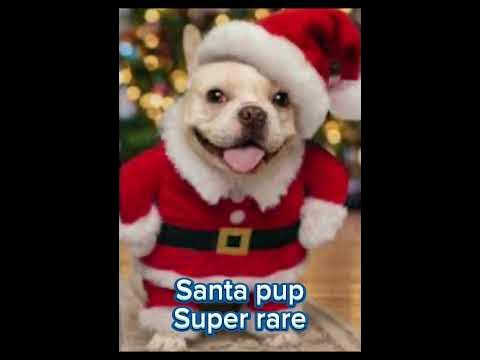 Doggo egg! (20/31) - YouTube