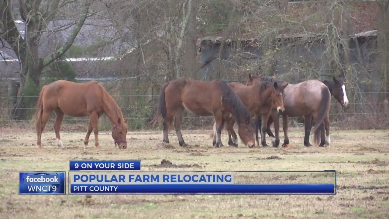 Sun and Moon Ranch to relocate to Western North Carolina - YouTube