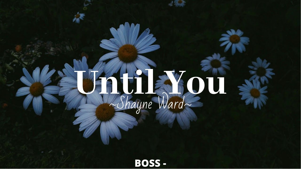 Shayne Ward - Until You //Sub. Español. - YouTube