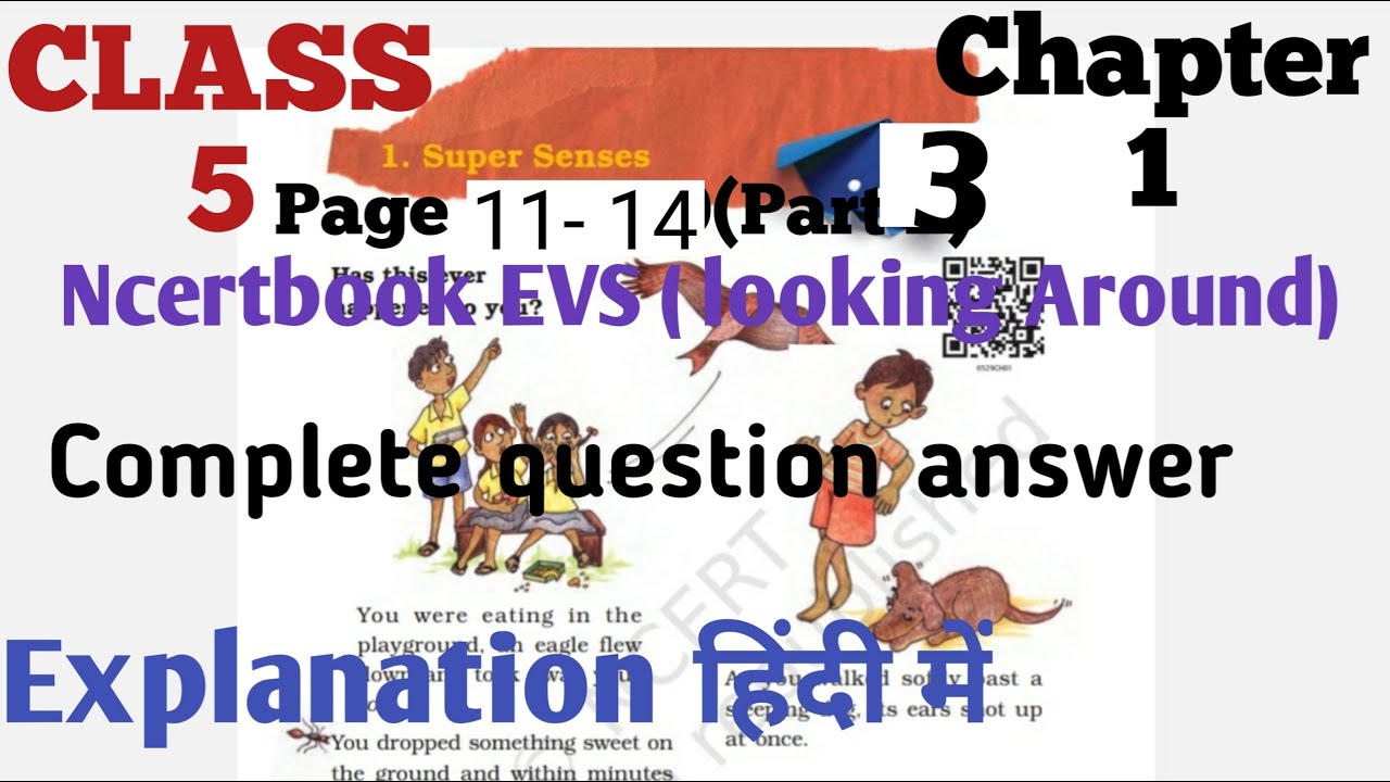 Class 5 EVS (looking Around) se Chapter- 1 Super Senses (Part 3) Page ...