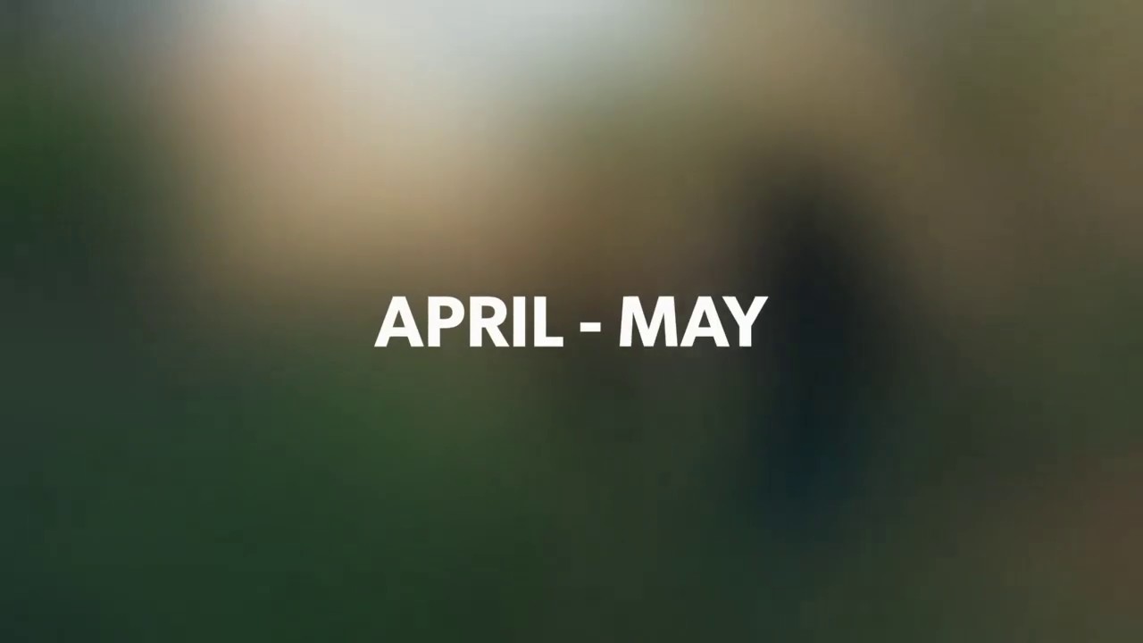APRIL - MAY 2019 - YouTube