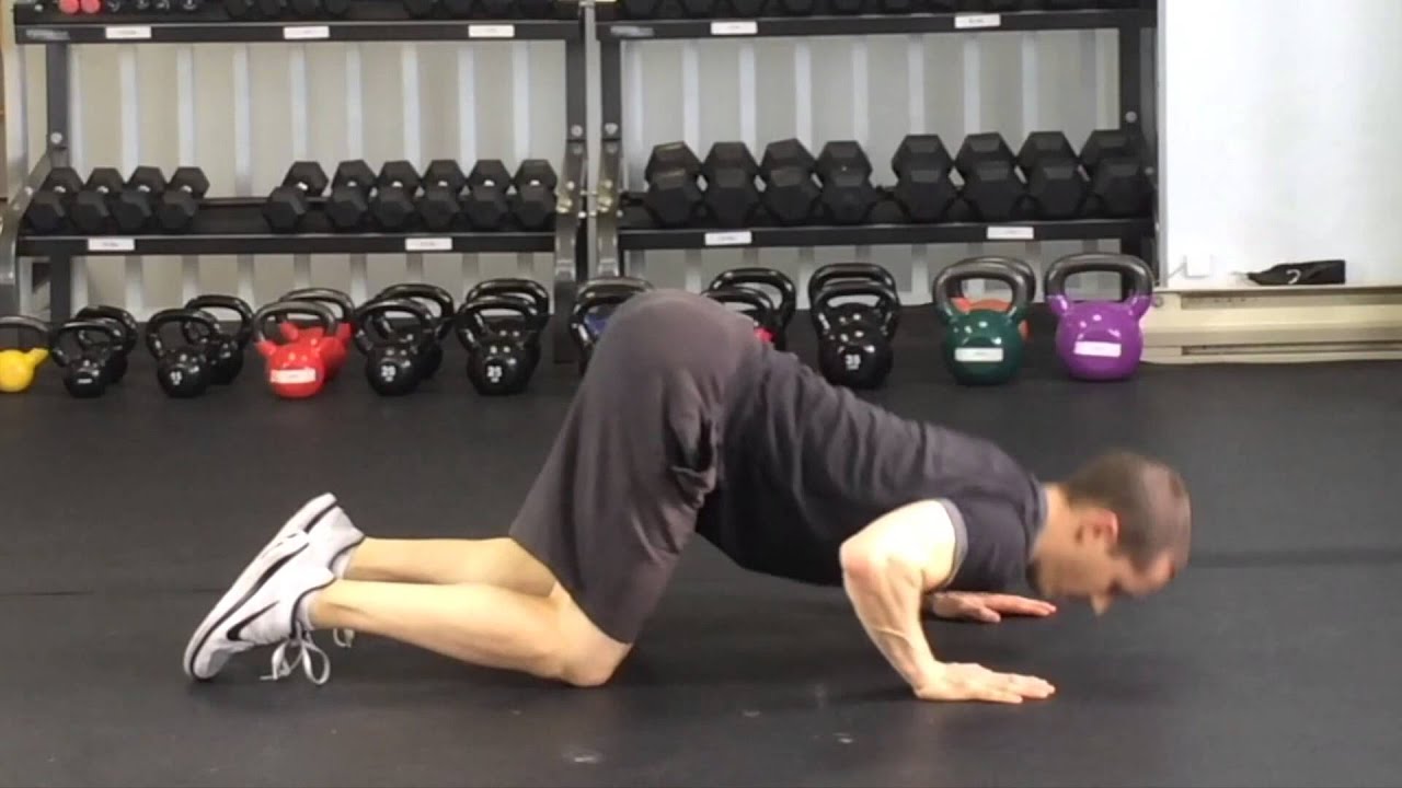 Push Up | Exercise Library - YouTube