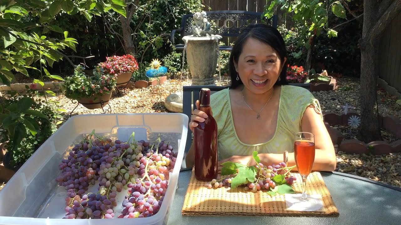 How To Make ROSÉ WINE At Home-20% Alcohol Fermentation Process With Raw ...