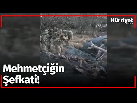 Mehmetçik Sudan Geçemeyen Köpeği Omzunda Taşıdı!