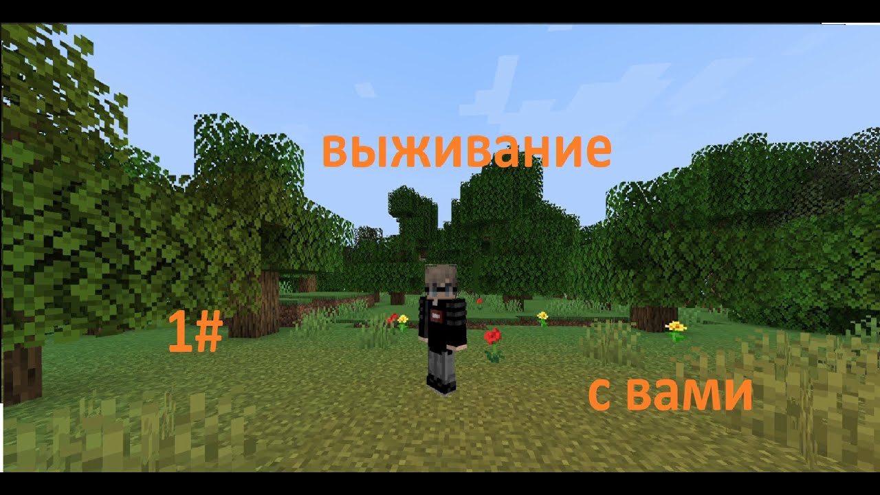 Выживание с подписчиками ванила - 1 часть - YouTube