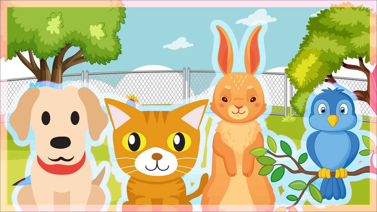 My Pets - I Have A Pet Animal Song Super Simple Songs and Nursery ...