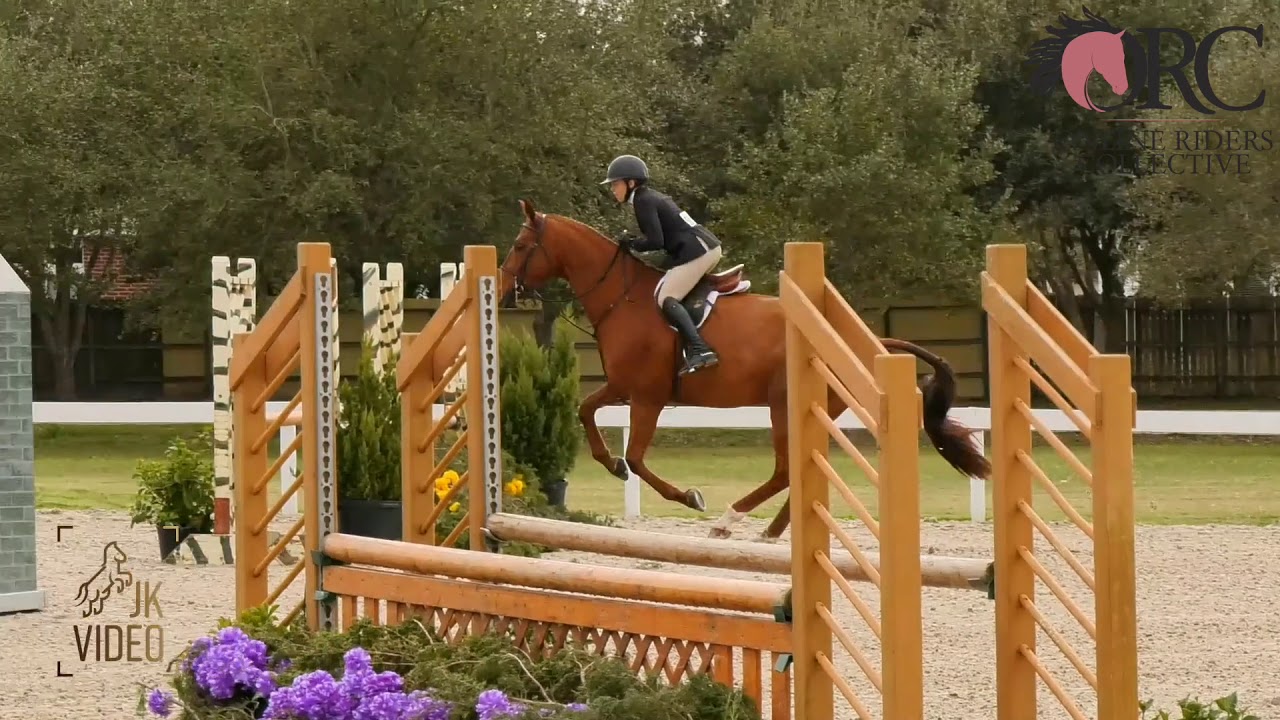 Tom Bebb Commentary - YouTube