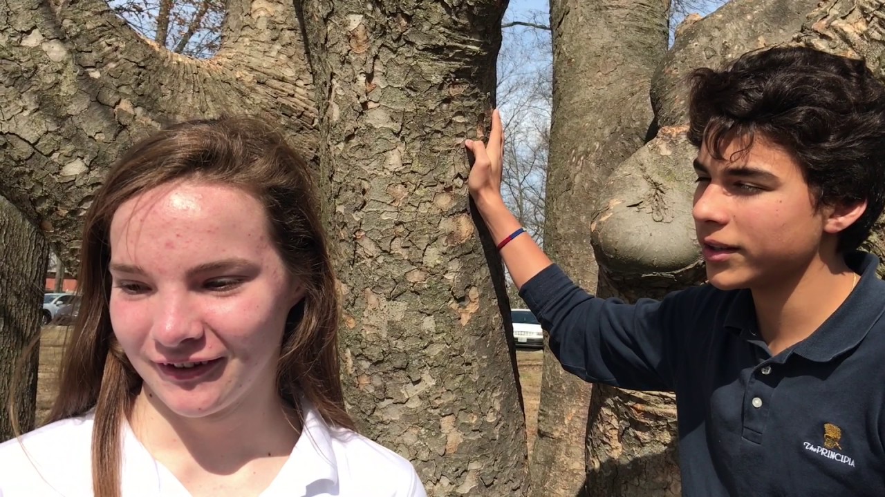 Soap Stone Commercial - YouTube