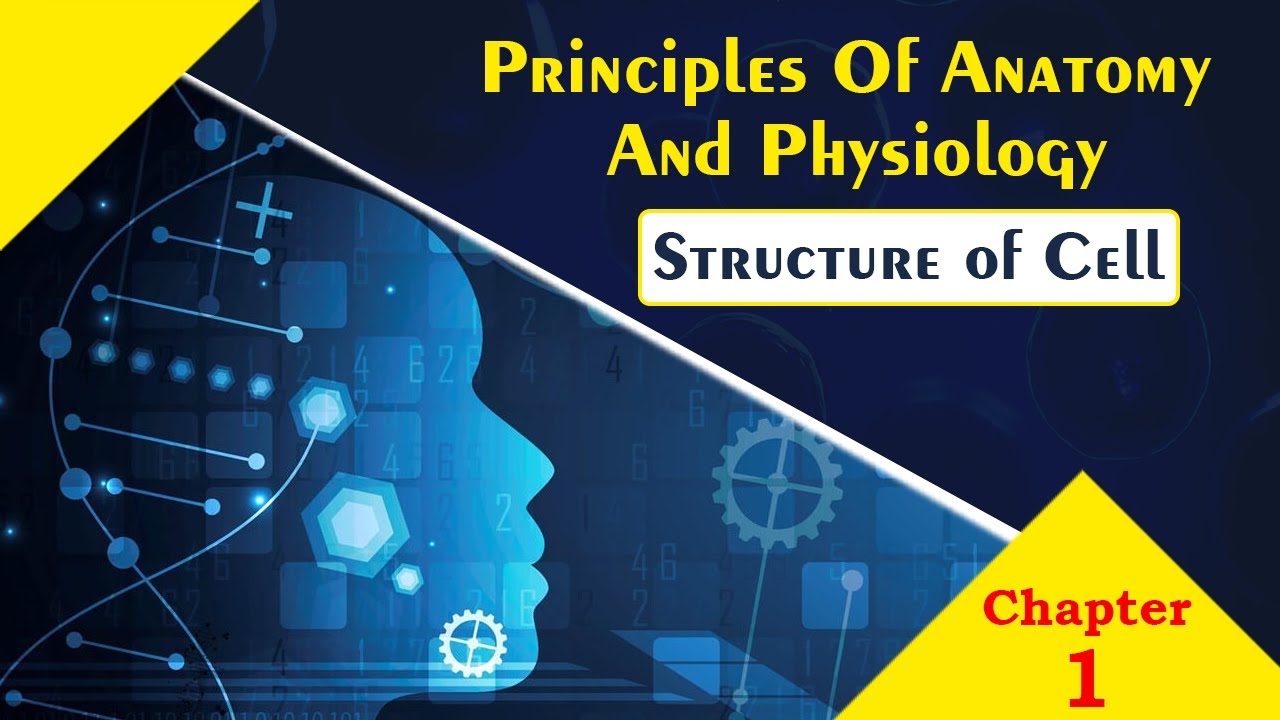 Structure of the Cell | Principles of Anatomy & Physiology | Chapter 1 ...