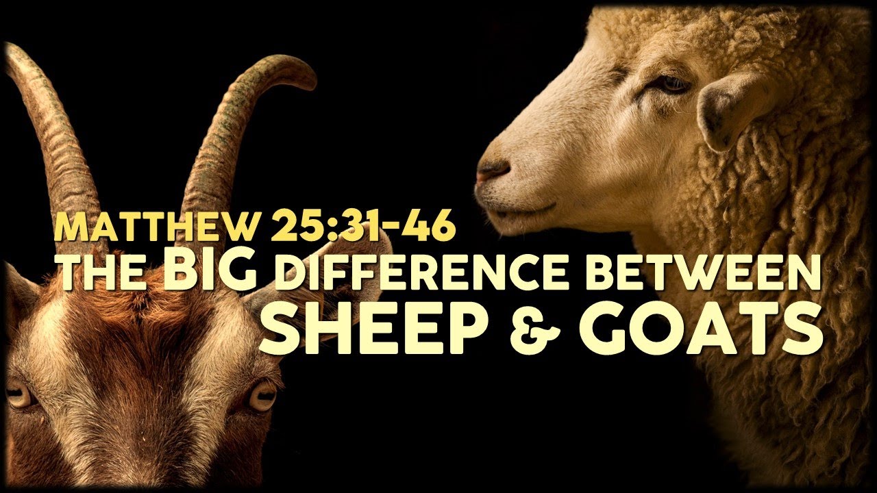 Matthew 25 31 46 The Big Difference Between Sheep Goats YouTube matthew-25-31-46-the-big-difference-between-sheep-goats-youtube