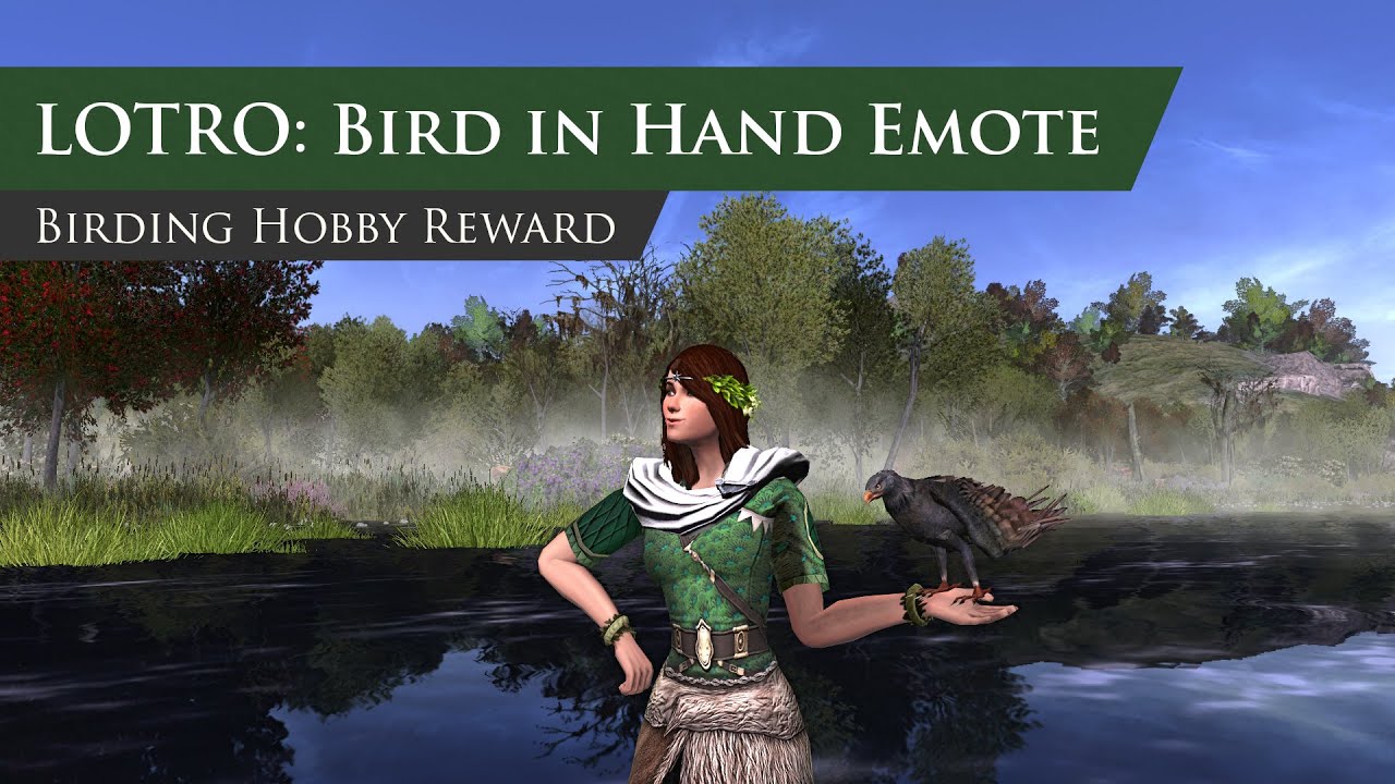 LOTRO Bird in Hand Emote | All the Birds of the Shire Deed - YouTube