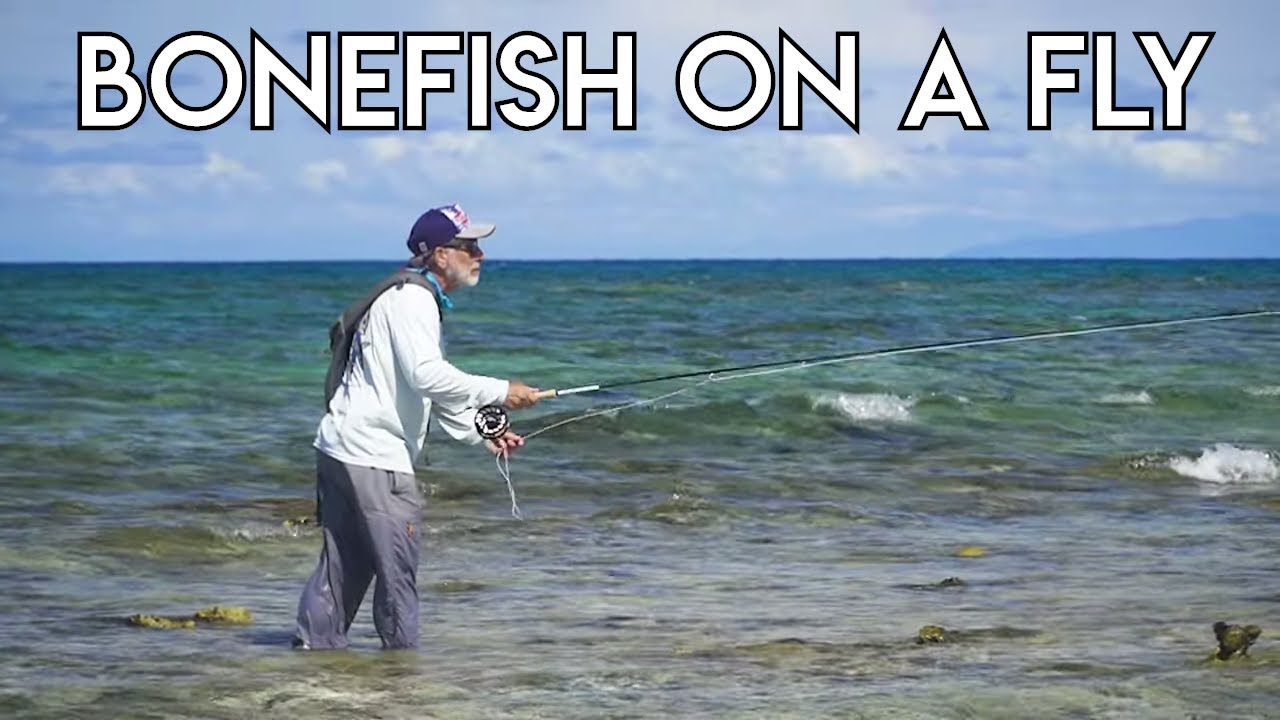 Basics of Bonefish On A Fly - The New Fly Fisher
