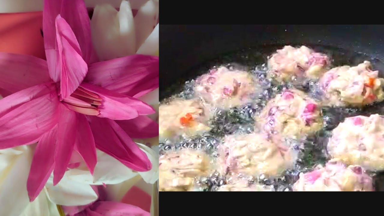 Water Lilly Flower Crispy Pakora Recipe | শাপলা ফুল দিয়ে মুচমুচে ...