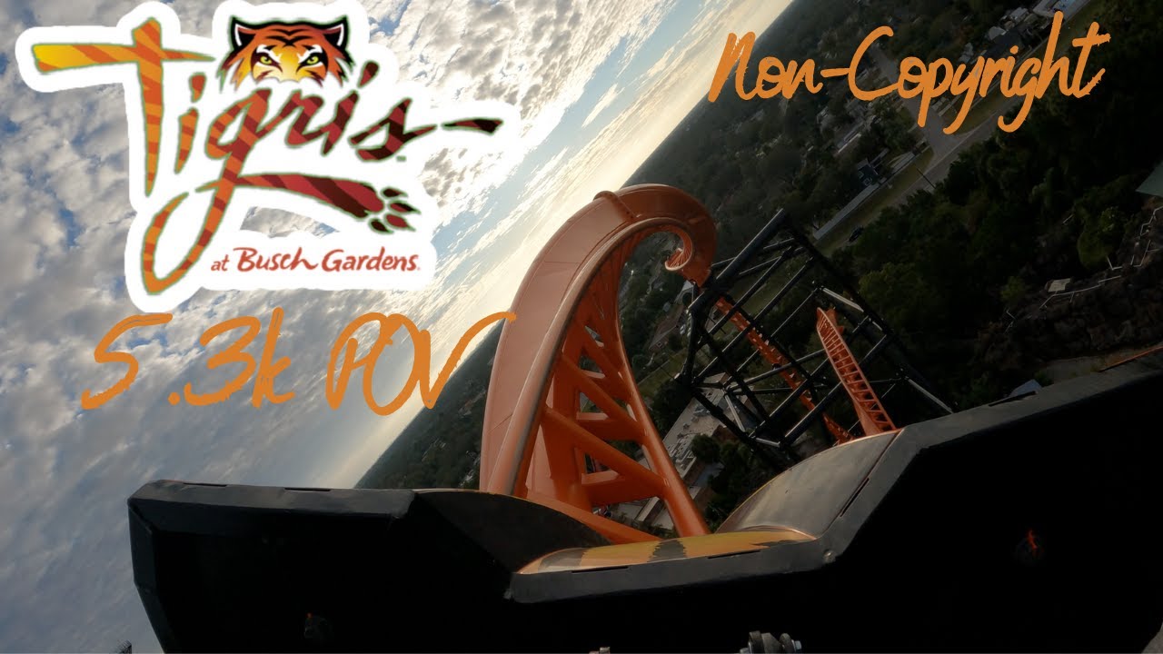 Tigris at Busch Gardens Tampa 5.3k 60fps POV (Non Copyright) - YouTube