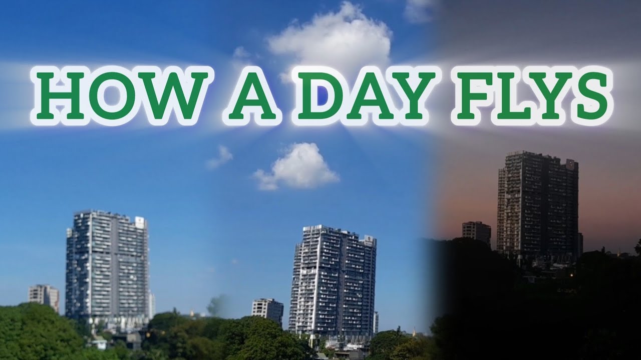 How a day flys? #life #nature #trending - YouTube