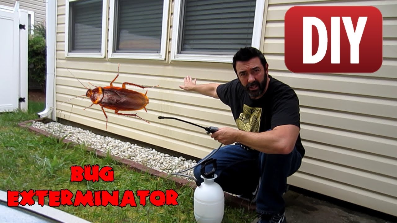 DIY BUG EXTERMINATING - HOW TO SAVE HUNDREDS of DOLLARS! - YouTube