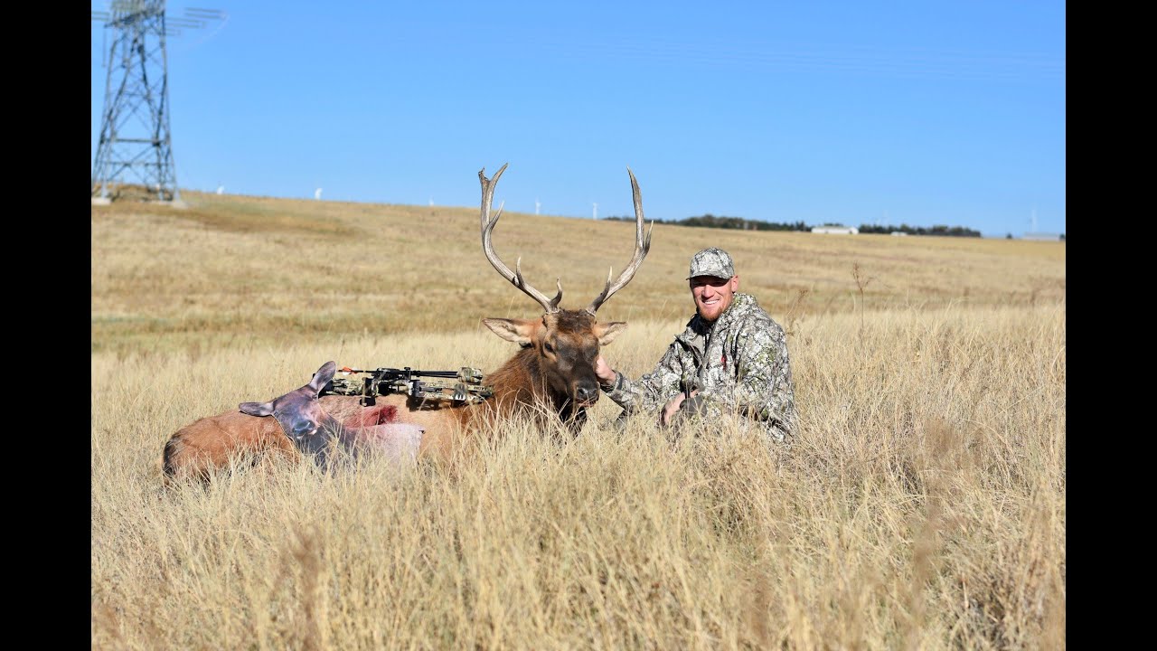 Hunting Kansas Elk With A Bow - YouTube