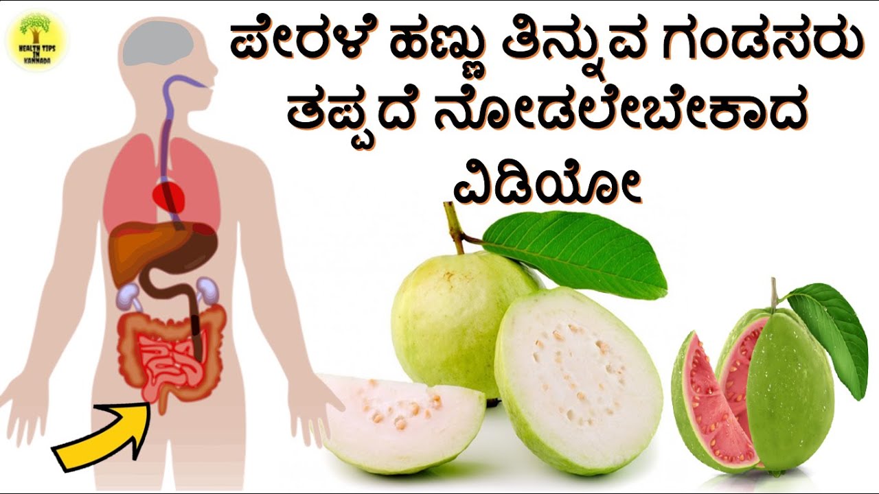 ಪೇರಳೆ ಹಣ್ಣು ತಿನ್ನುವ ಗಂಡಸರು ತಪ್ಪದೆ ನೋಡಲೇಬೇಕಾದ ವಿಡಿಯೋ Health Benefits of ...