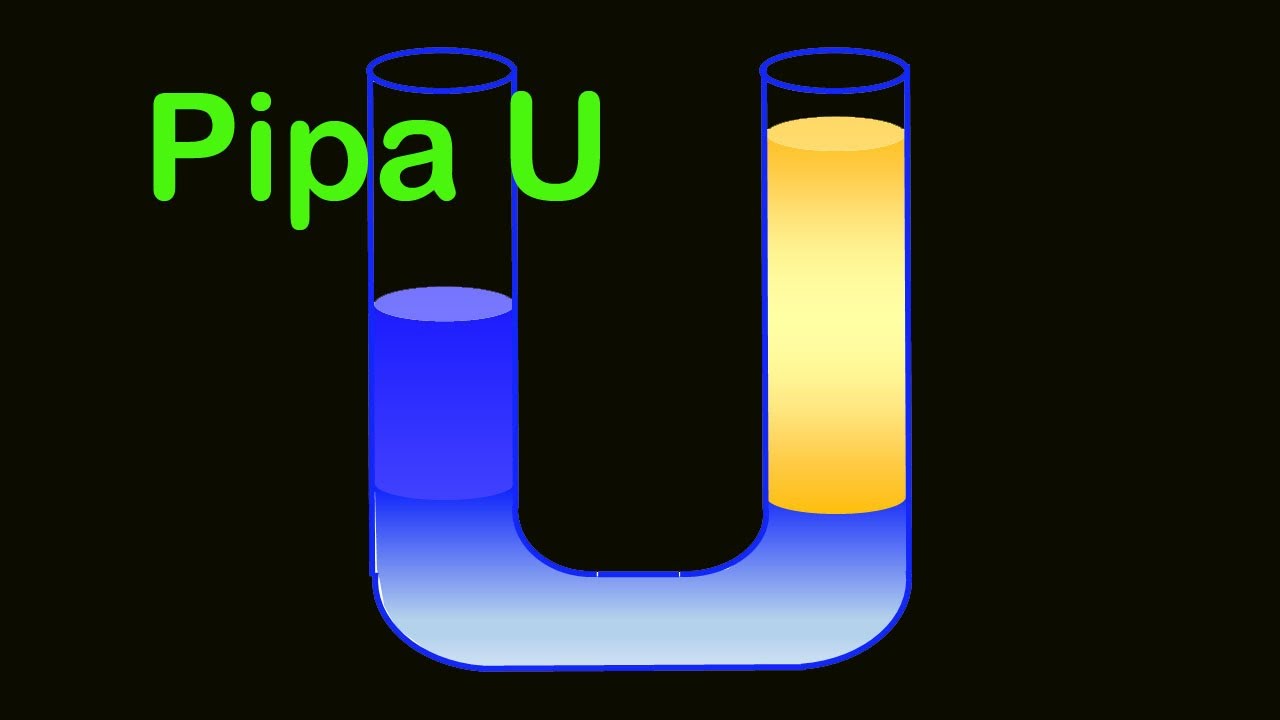 Pipa U - YouTube