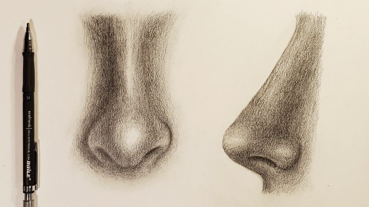How to DRAW a realistic NOSE - Front and Side View (Explained ...