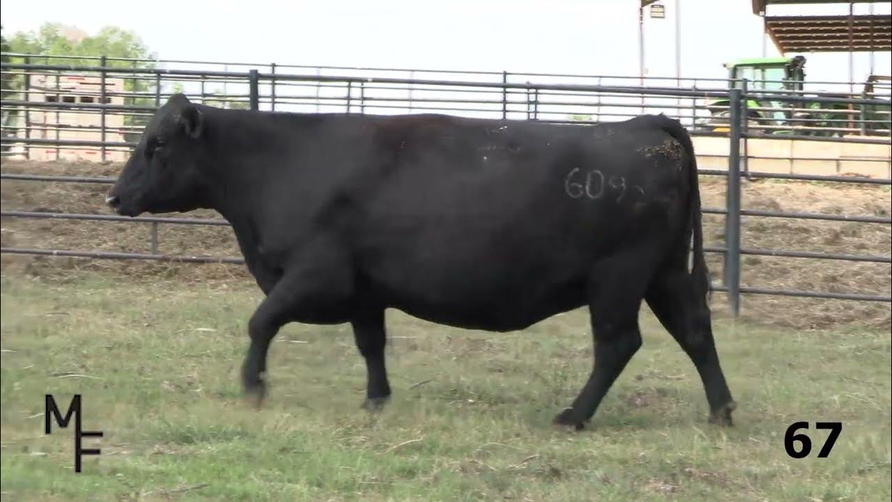 McCloud Farms Lot 67 - YouTube