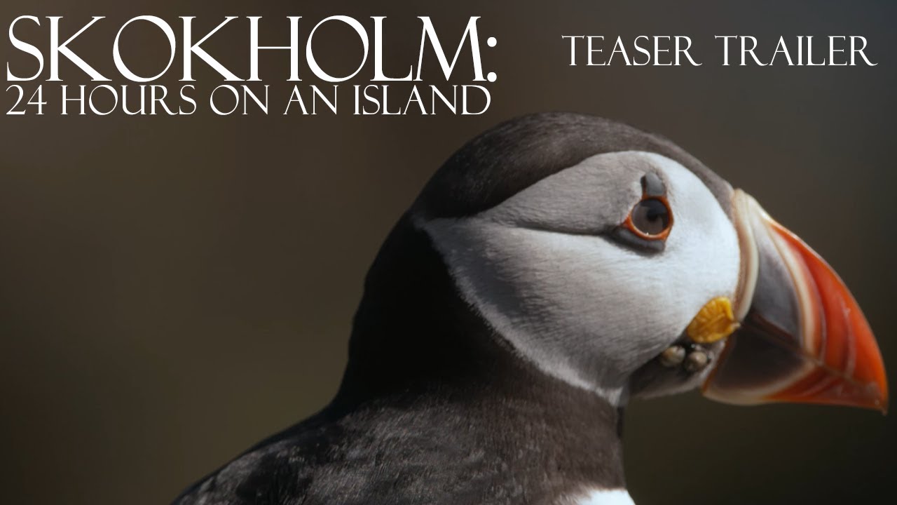 Skokholm: 24 Hours on an Island Trailer - YouTube