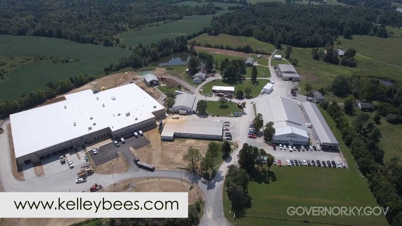 Kelley's Beekeeping Tour - YouTube