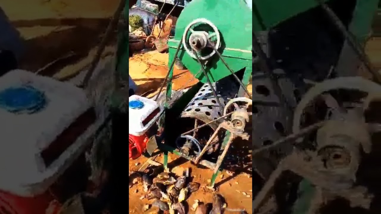 Cocoa pod breaking machine, made in Bamenda-Cameroon - YouTube