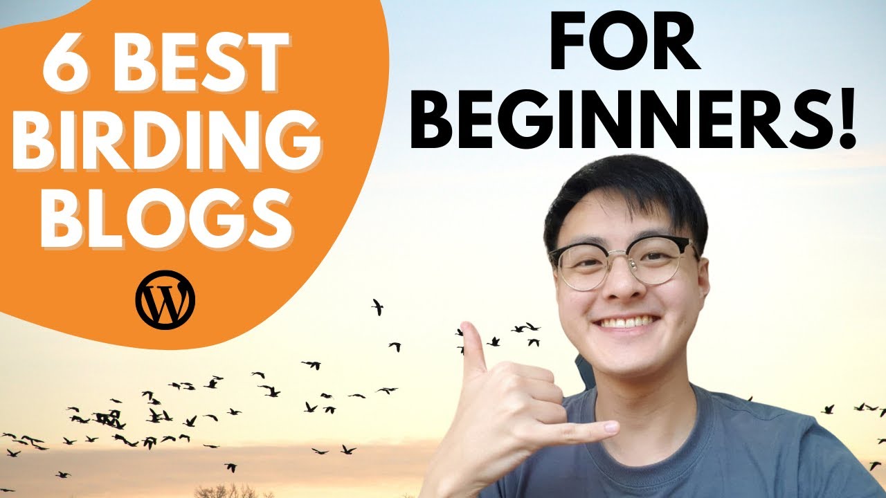6 BEST Birding Blogs For Beginner Birders - YouTube