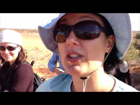 Outback Camel Yoga Expedition
