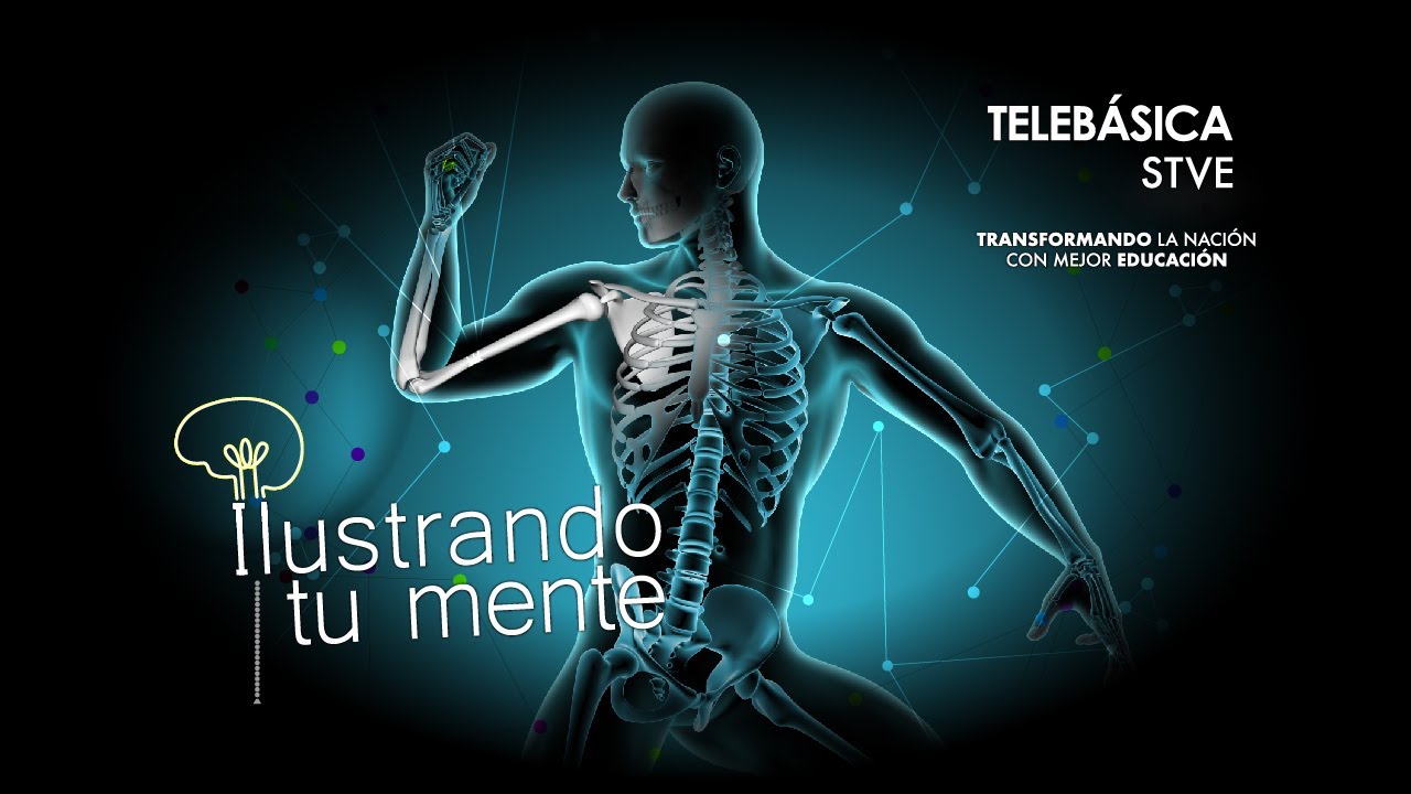 Ilustrando tu mente: huesos esqueleto humano - YouTube