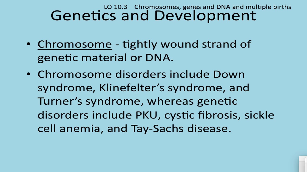 APP--WK 14--Day Three--Final Lecture - YouTube